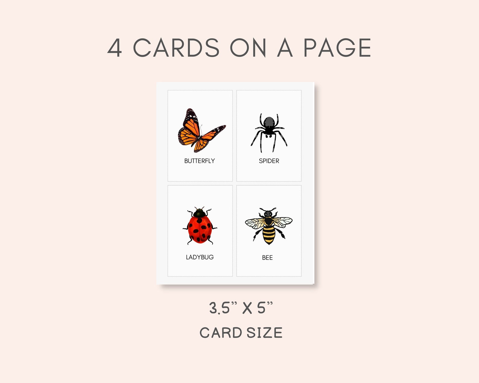 Insects Flashcards Bugs Flashcards Minibeast Flashcards - Etsy