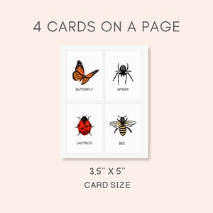 Insects Flashcards, Bugs Flashcards, Minibeast Flashcards, Flashcards ...
