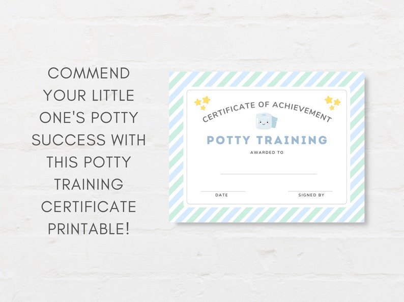 Potty Certificate Printable, Editable Potty Certificate, Potty Training ...