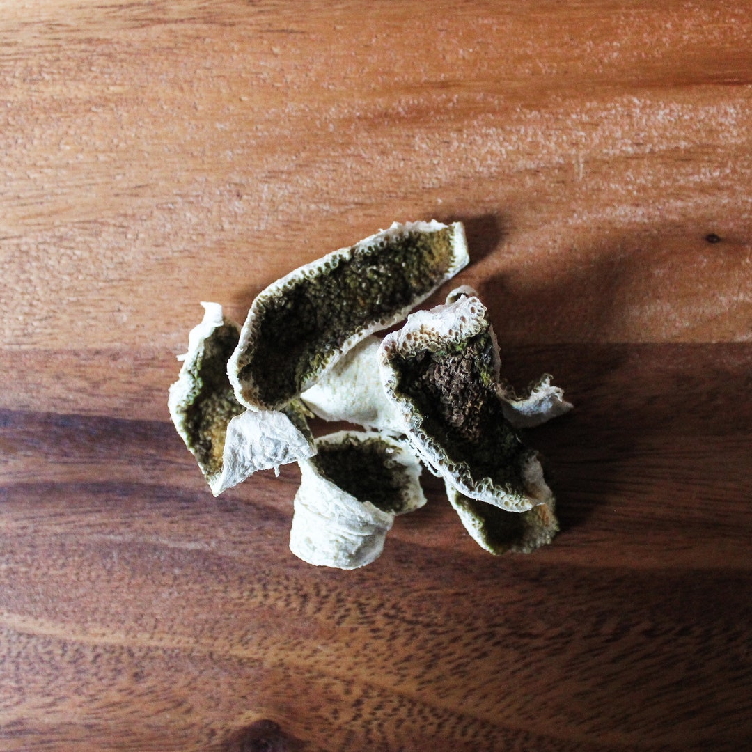 Grenadian Dried Citron | Lemon Peel - Etsy