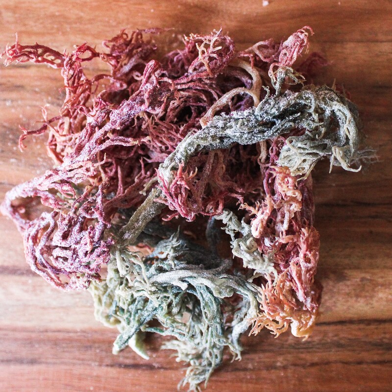 Wild Sea Moss - Etsy