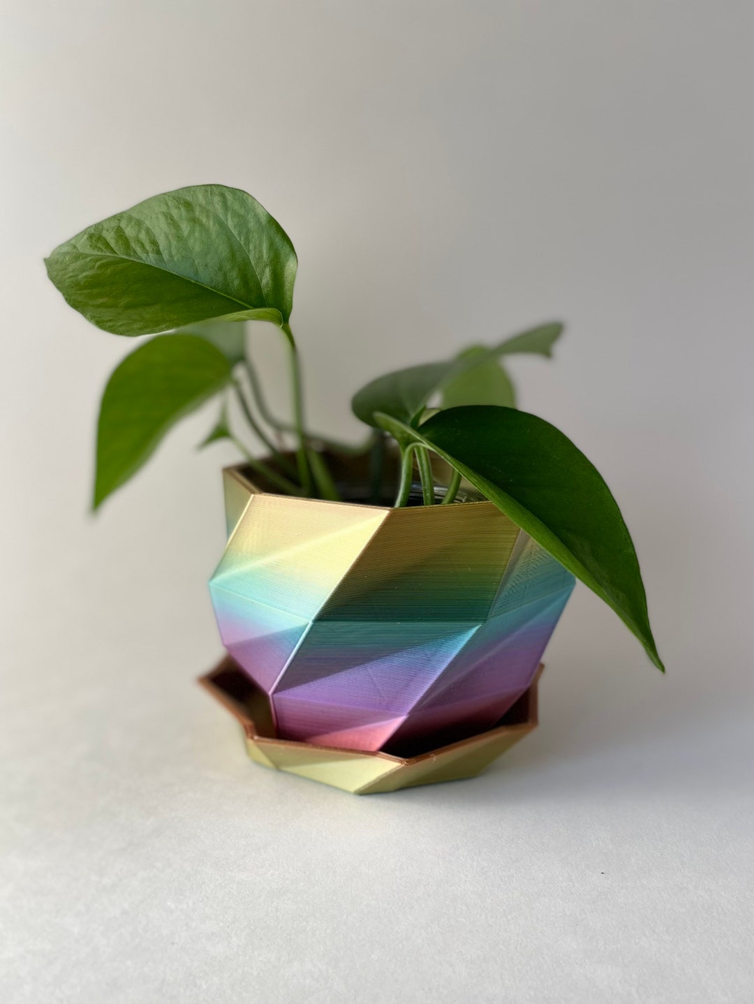 3D Printed Polygon Plant Pot With Catch Tray - Etsy UK