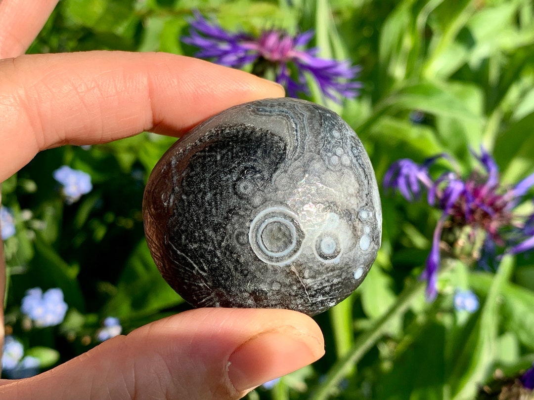 Rare Black and White Desert Eye Agate Natural Blue Gobi Agate Nodule ...