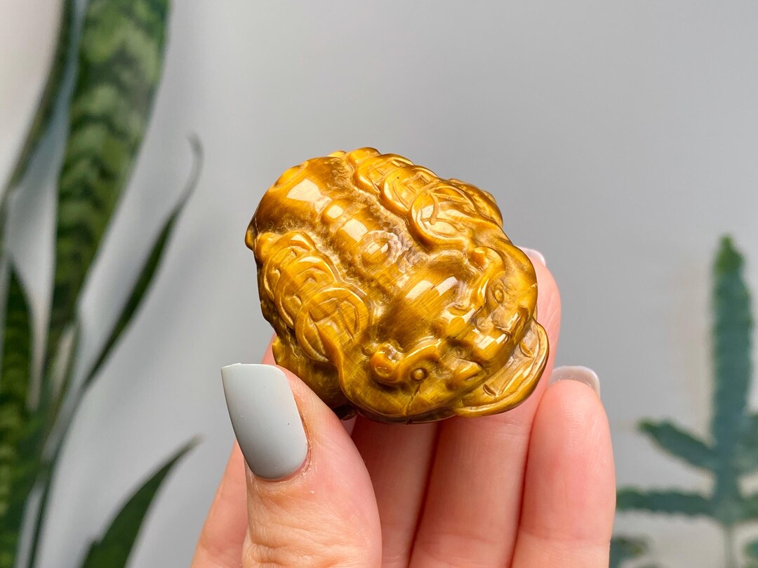 Tiger's Eye Money Toad (C) | Flashy Money Frog Crystal Carving | 67g - Etsy