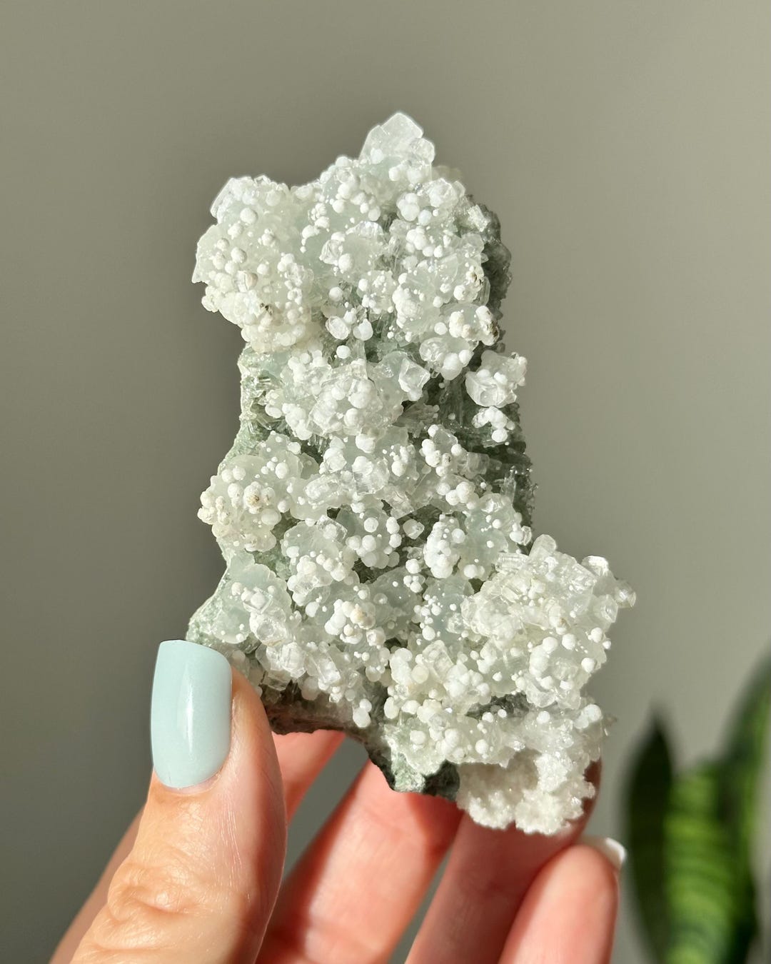 Rare Gyrolite & Apophyllite on Green Chalcedony Specimen | Gyrolite ...