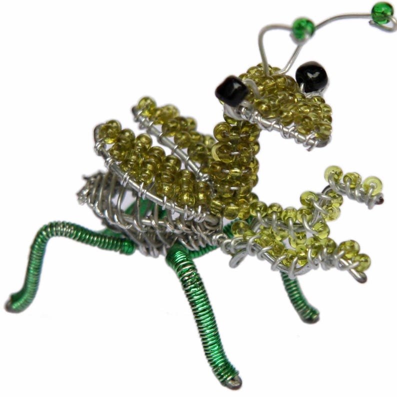 Mini Praying Mantis - Etsy