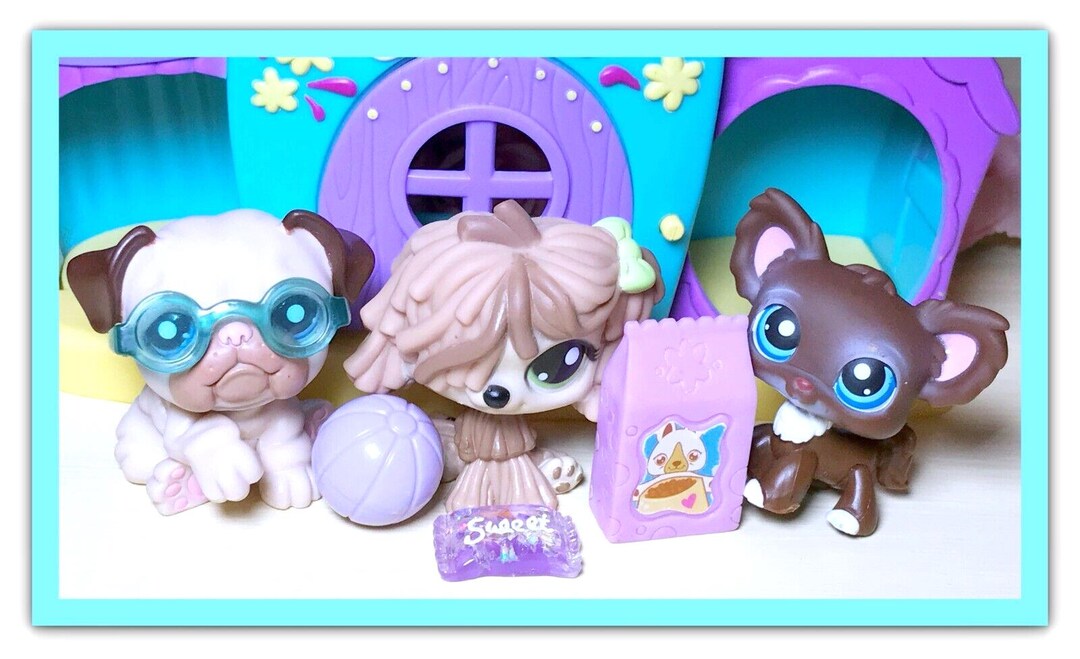 Authentic Littlest Pet Shop LPS 219 1765 1866 Chihuahua Bulldog ...