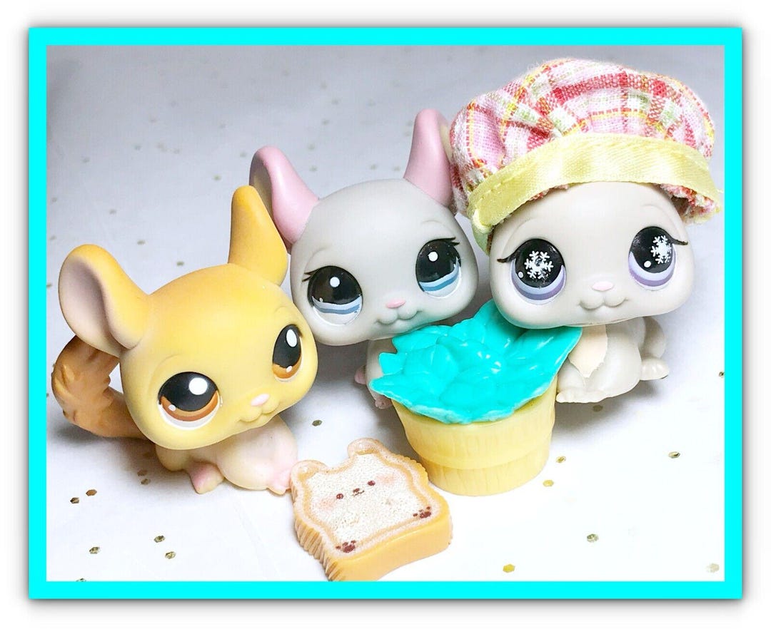 Authentic Littlest Pet Shop LPS 340 687 1165 Chinchilla Lot With ...