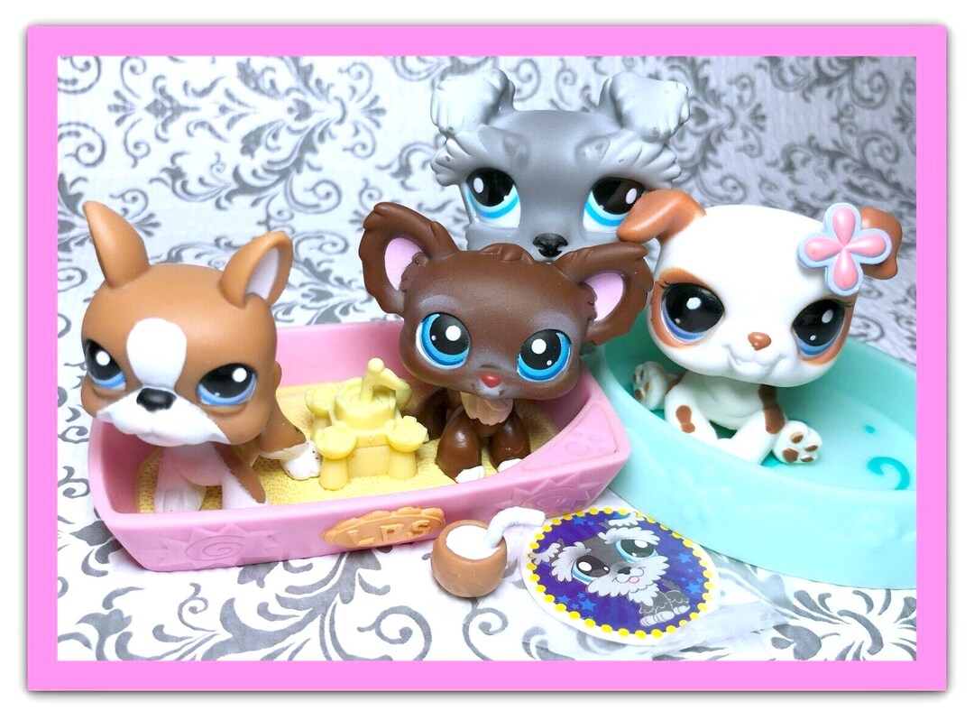 Authentic Littlest Pet Shop LPS 219 1393 1079 2106 Chihuahua Terrier ...