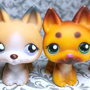 Authentic Littlest Pet Shop LPS 112 357 491 1169 German Shepherd Puppy ...