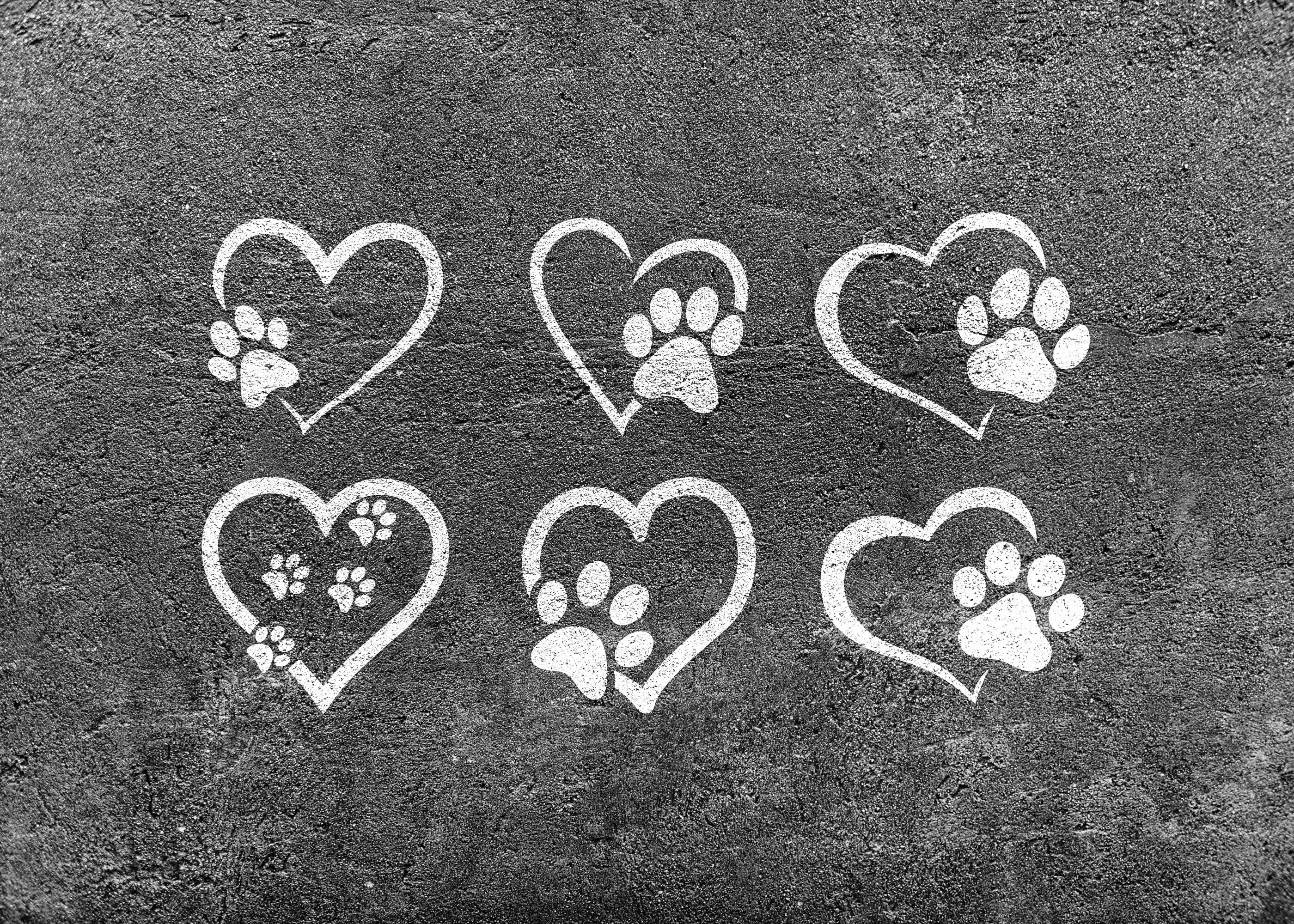 Paw Print Heart, Paw SVG, Dog Paw Svg, Cat Paw Svg, Pet Paw Svg, Animal ...