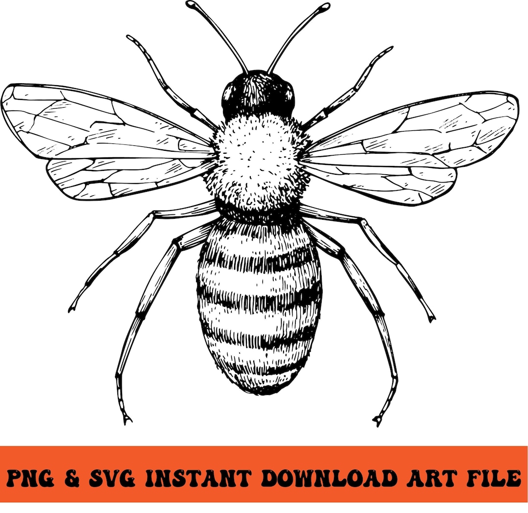 Hand Drawn Bumble Bee - Instant Digital Download - PNG & SVG - Etsy