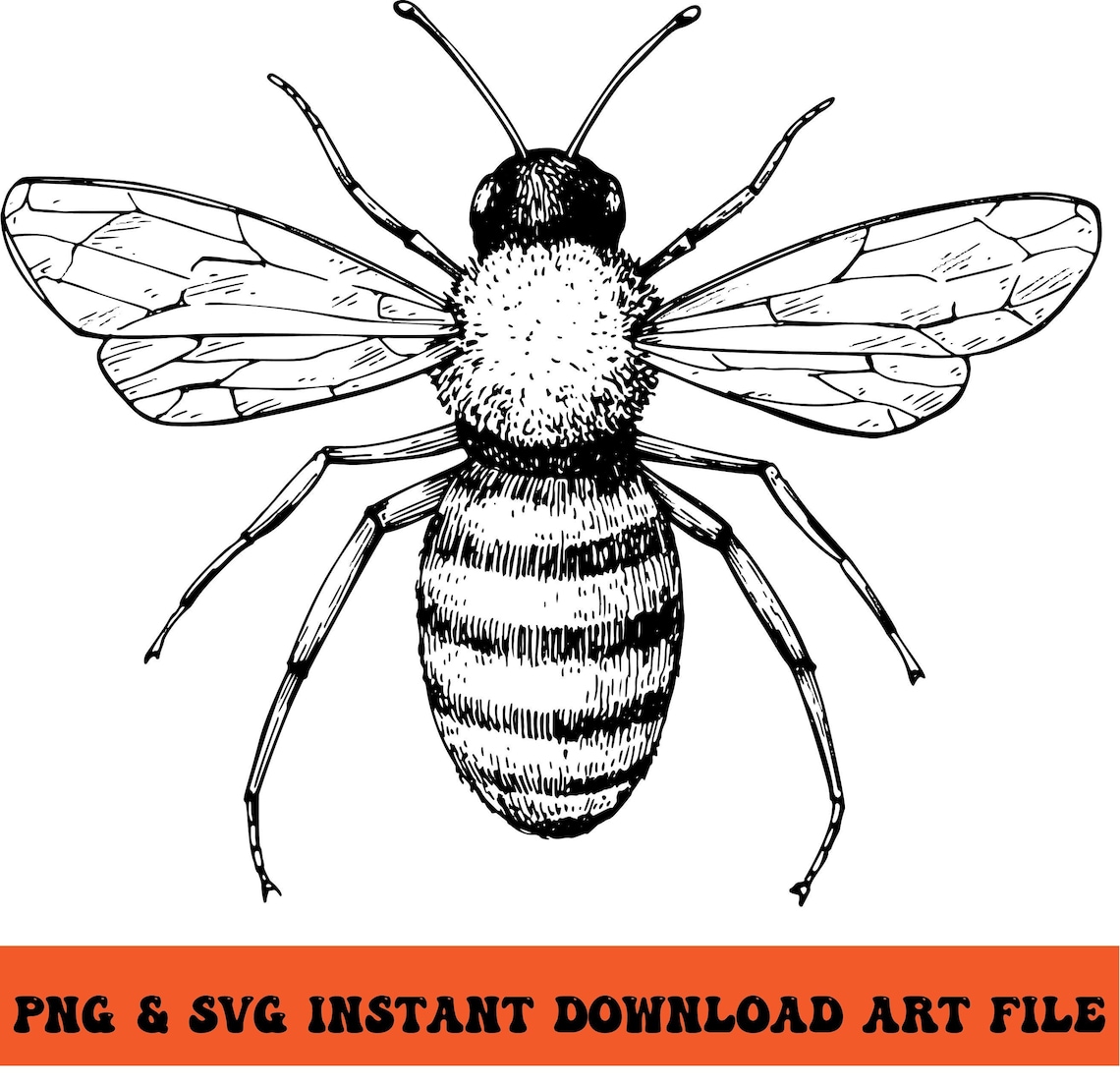 Hand Drawn Bumble Bee - Instant Digital Download - PNG & SVG - Etsy