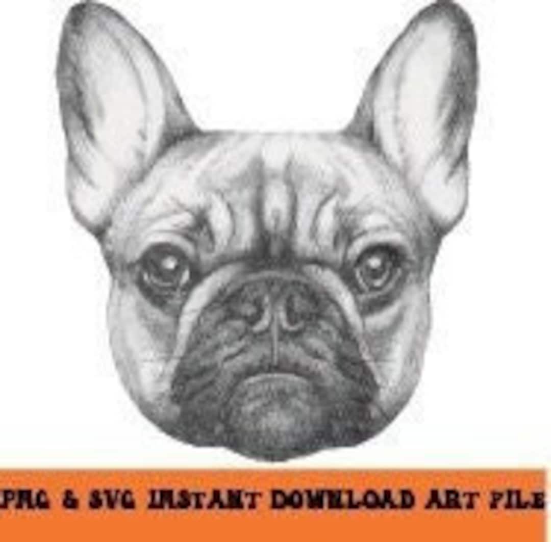 Hand Drawn Frenchie Drawing Instant Digital Download PNG & SVG - Etsy