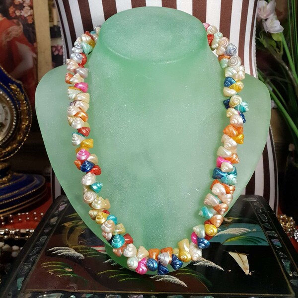 Trochus Shell - Etsy