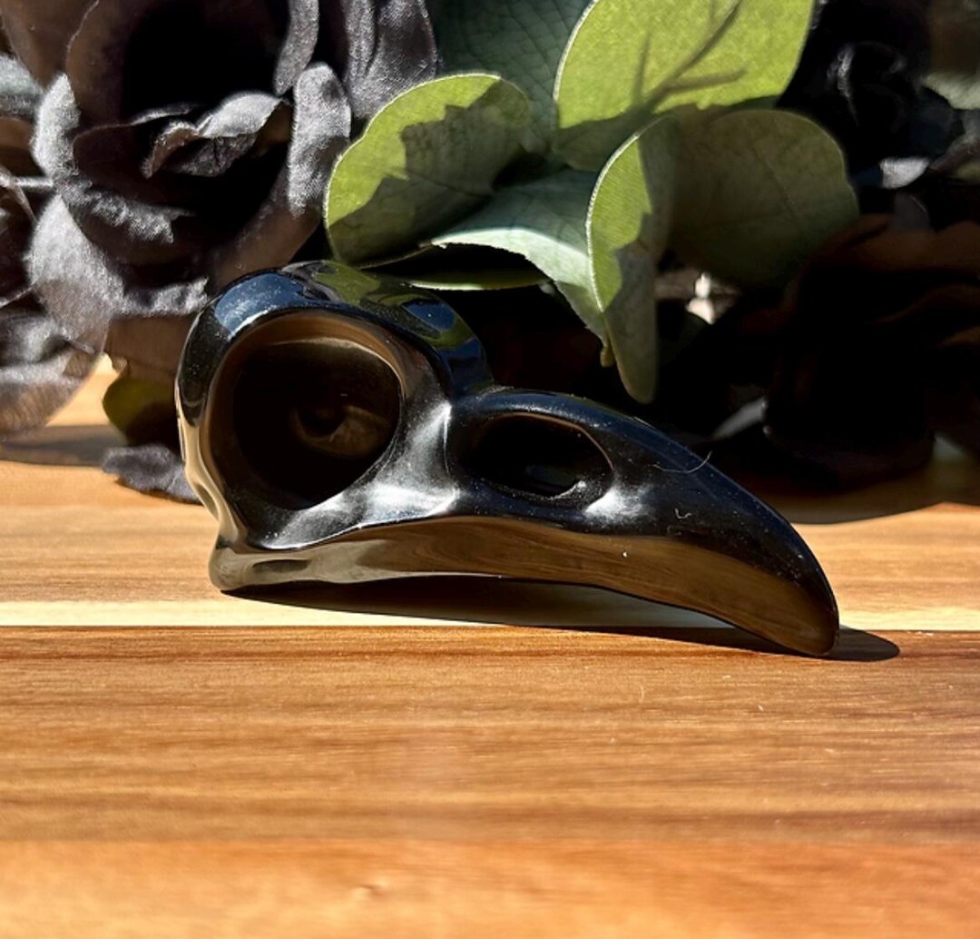Natural Obsidian Bird Skull Carving - Etsy