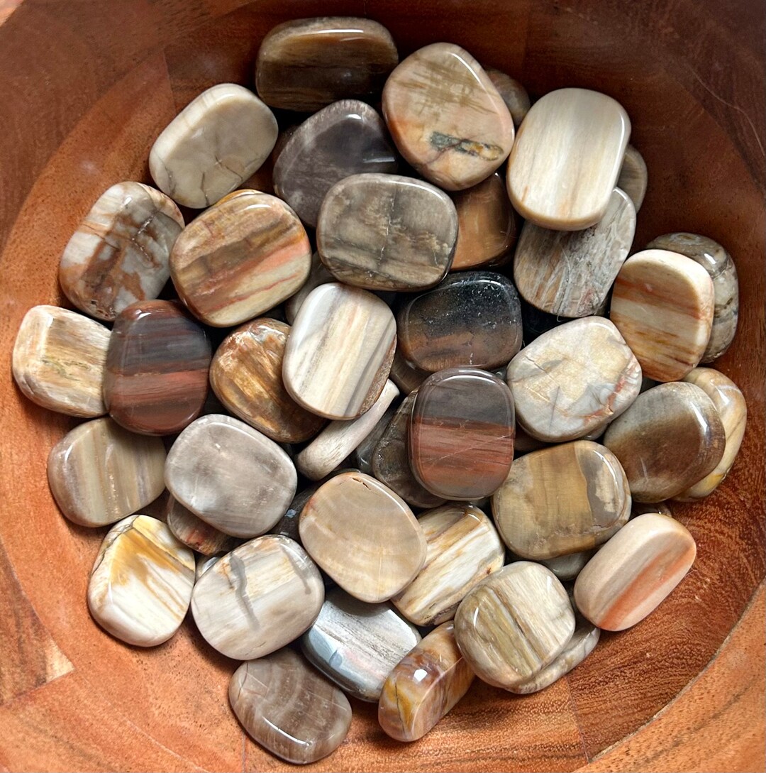 Natural Petrified Wood Mini Flat Stone, Petrified Wood Flat Stone, Flat ...