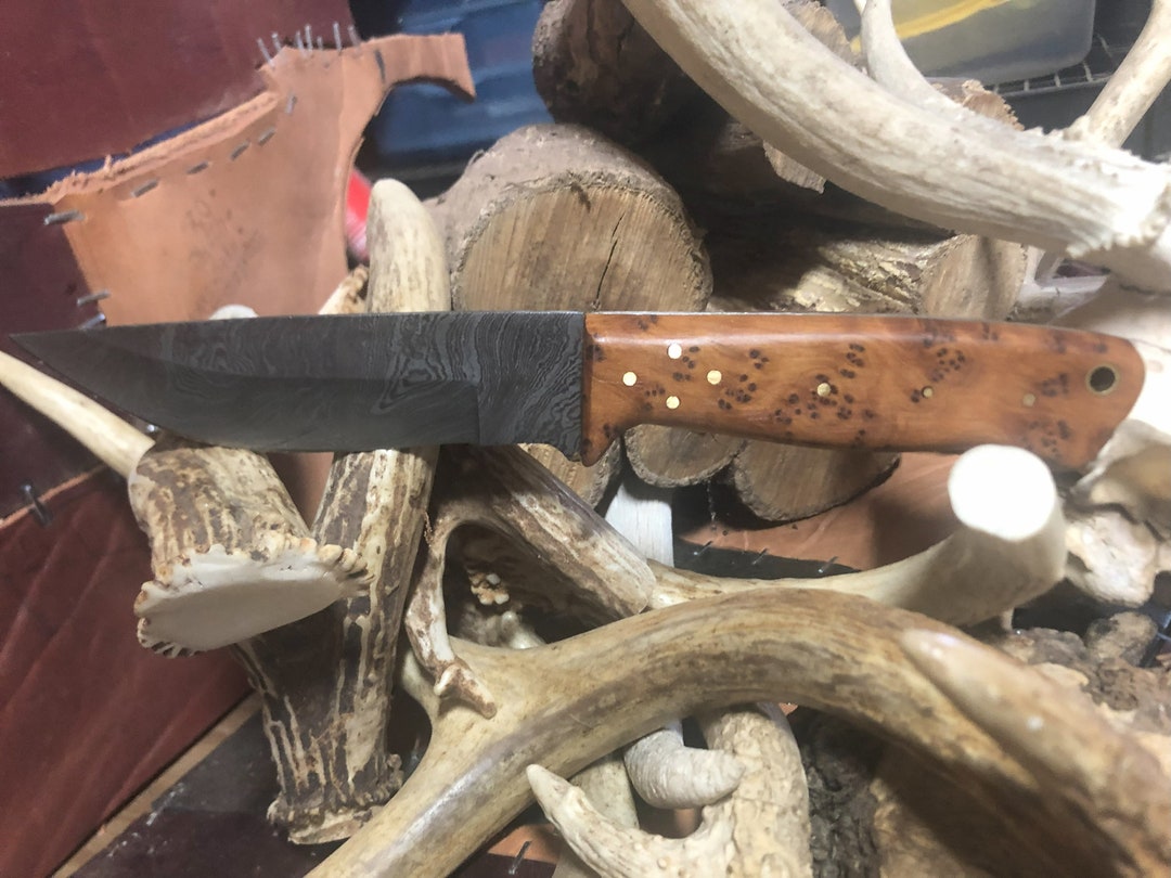 Damascus, Straight Back Knife. Thuya Root Wood. - Etsy