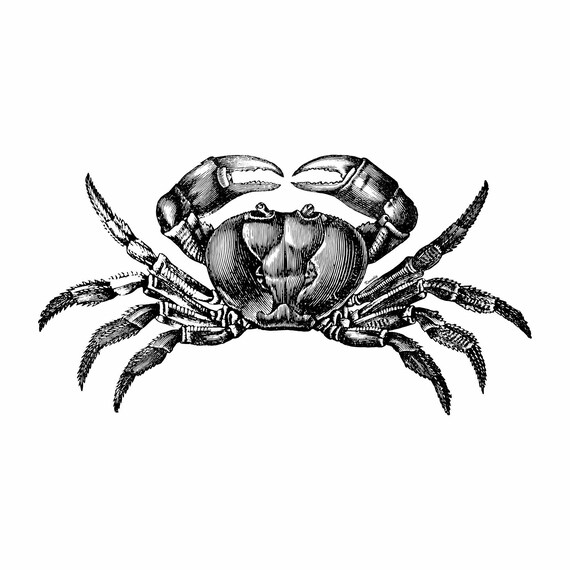 Cancer Crab Vector Graphics SVG and PNG - Etsy