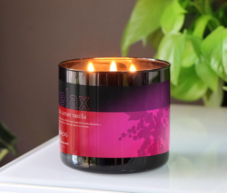 Relax - Black Currant Vanilla | 3-wick Candle | Wax Melts | Mini Candle ...