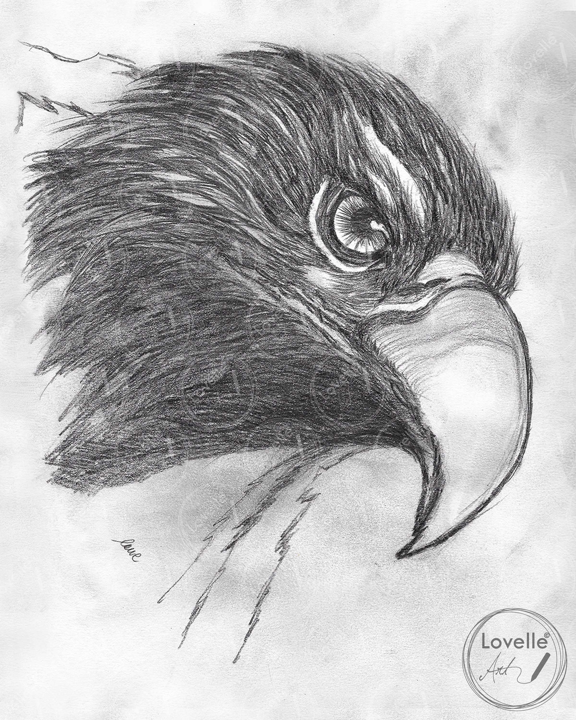 Art & Collectibles Pencil Sketch Digital files for printing Eagle ...