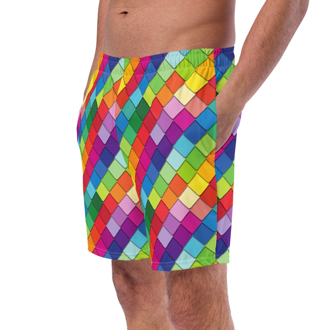 Gay Pride Men's Swim Trunks, Rainbow Mens Swimwear, Swim Briefs ...