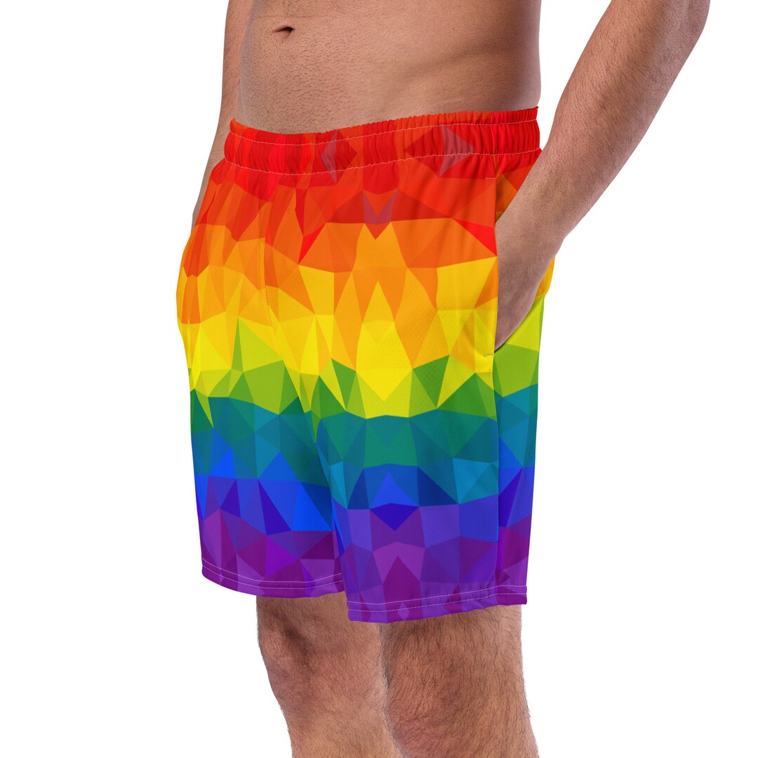 Gay Pride Men's Swim Trunks, Rainbow Prism Mens Swimwear, Swim Briefs ...