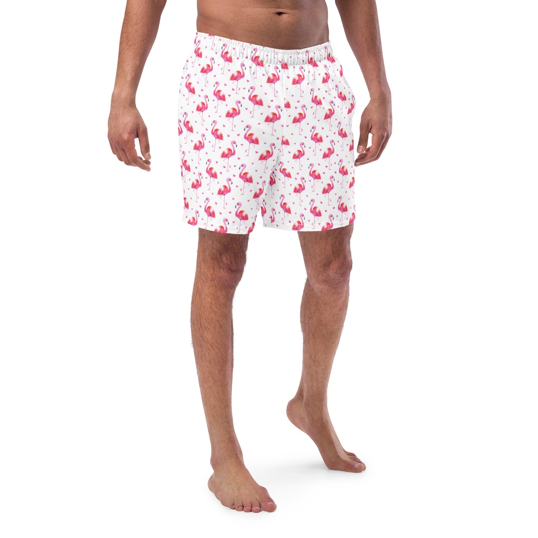 Pink Flamingo Bird Print Swim Trunks, Animal Pattern Swim Brief Men ...
