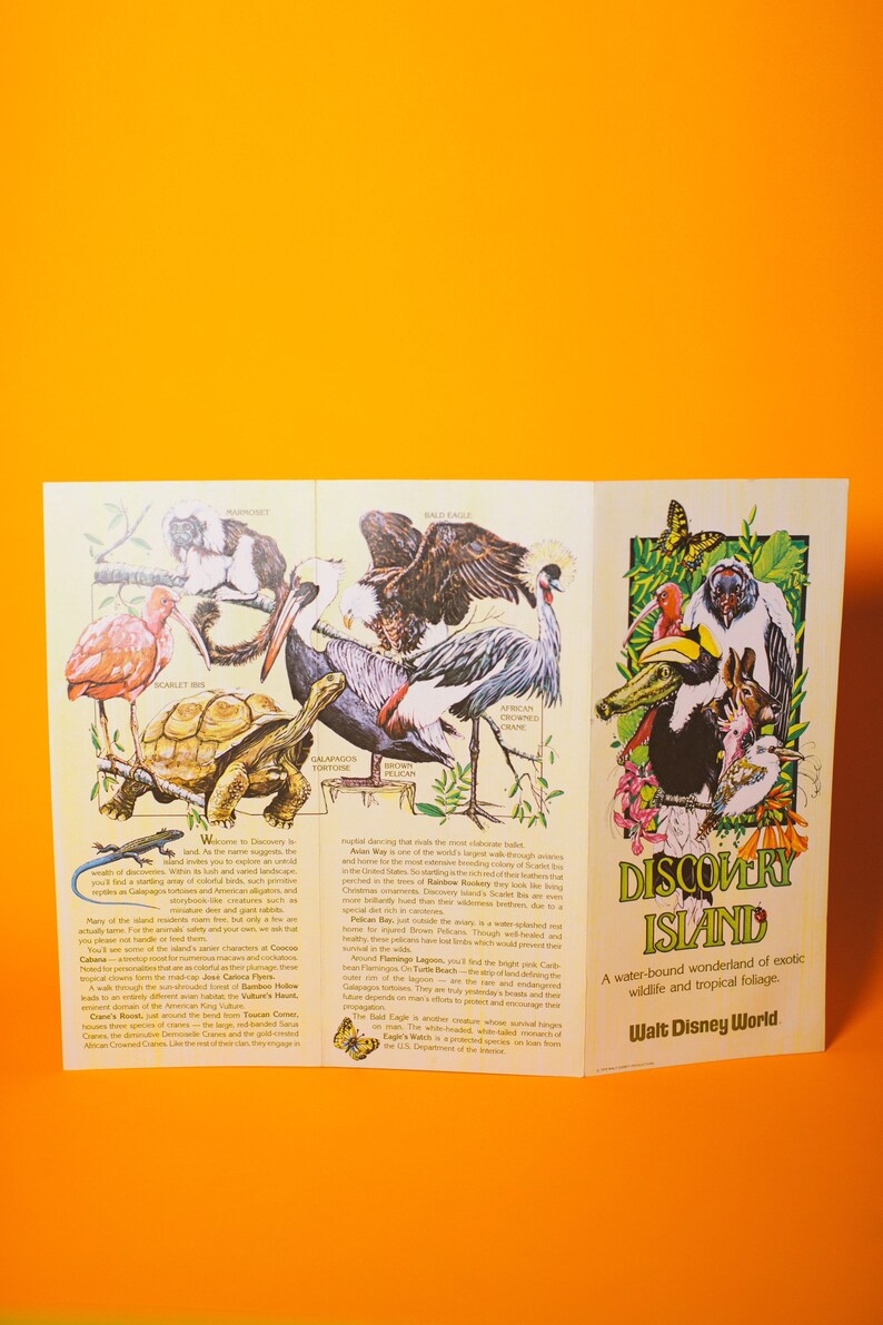 Vintage Disneys Discovery Island Map - Etsy