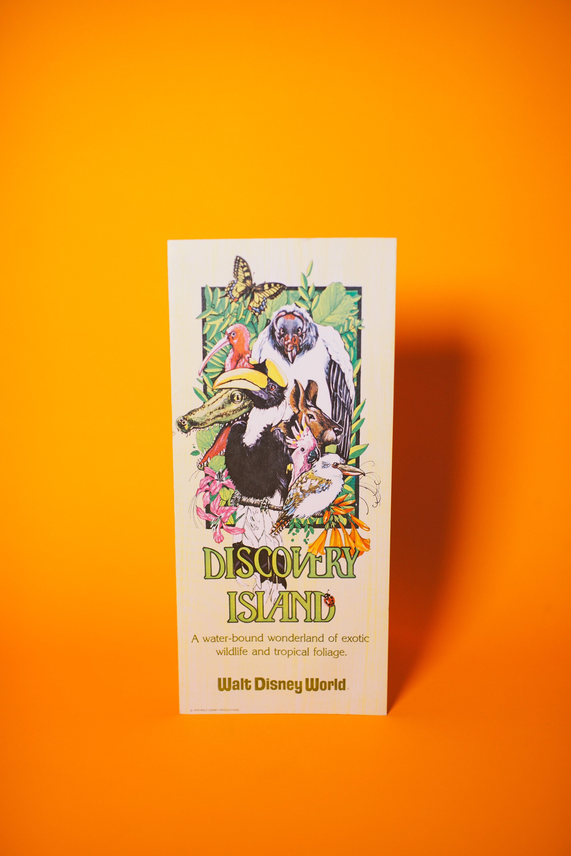 Vintage Disneys Discovery Island Map - Etsy