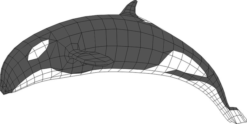 Orca 3D Papercraft Killer Whale Model Kit 100cm Long - Etsy