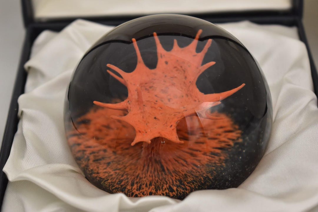 Vintage Caithness Coral Paperweight by Colin Terris – Limited Edition ...