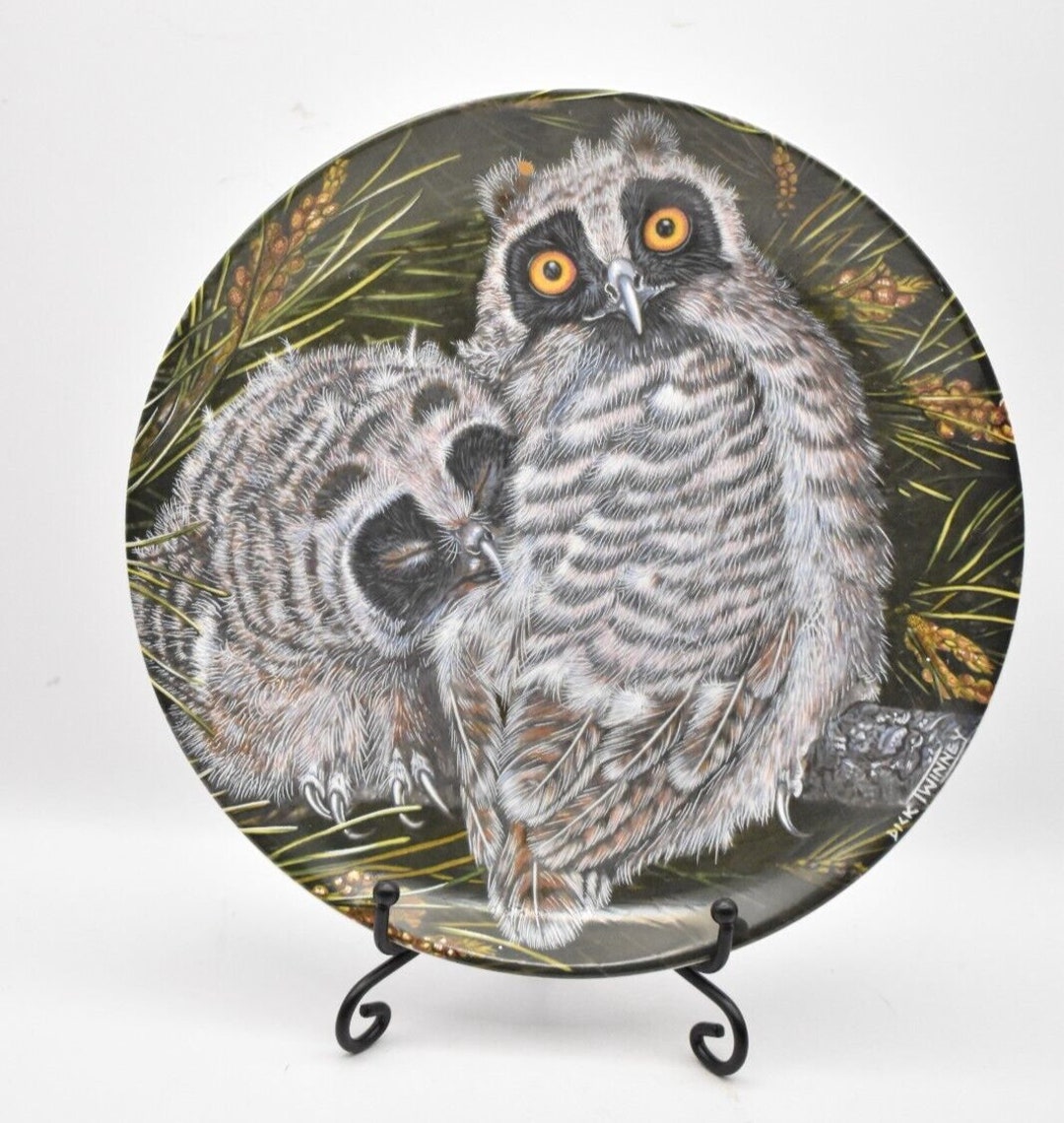 Wedgwood Owl Plate the Baby Owls Collection Long Earred Owl - Etsy