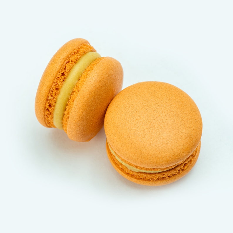 Macarons for Dogs (dog Treat) Gift / Birthday Box: Mango, Carob and ...