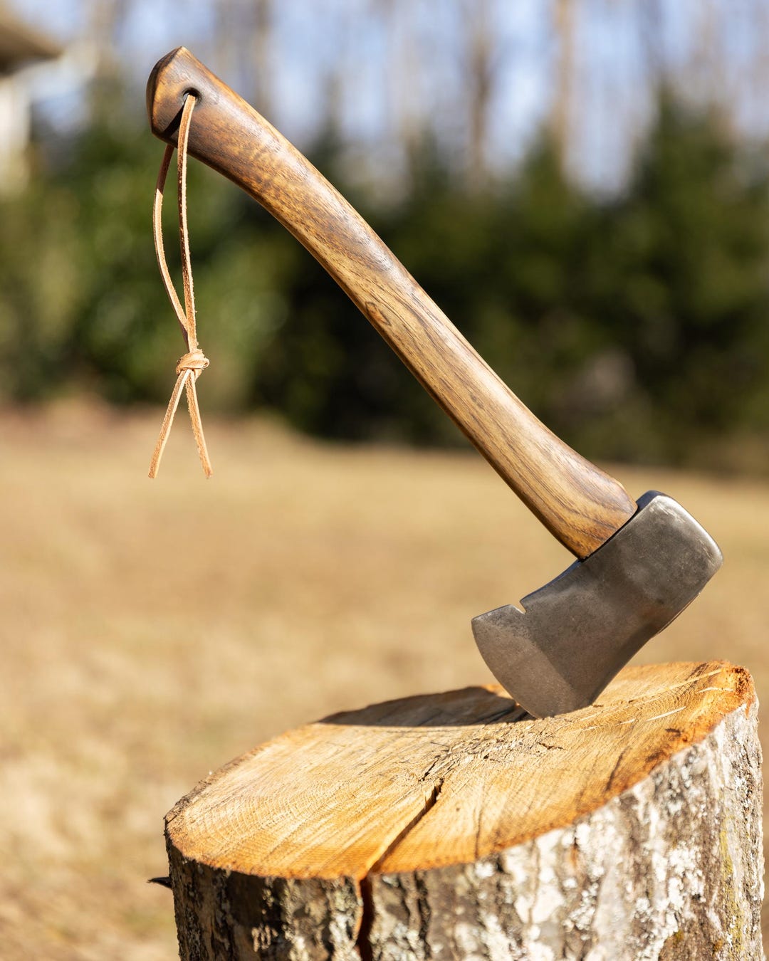 Restored Vintage Craftsman Hatchet Single Bit Blade With Nail Pull on ...