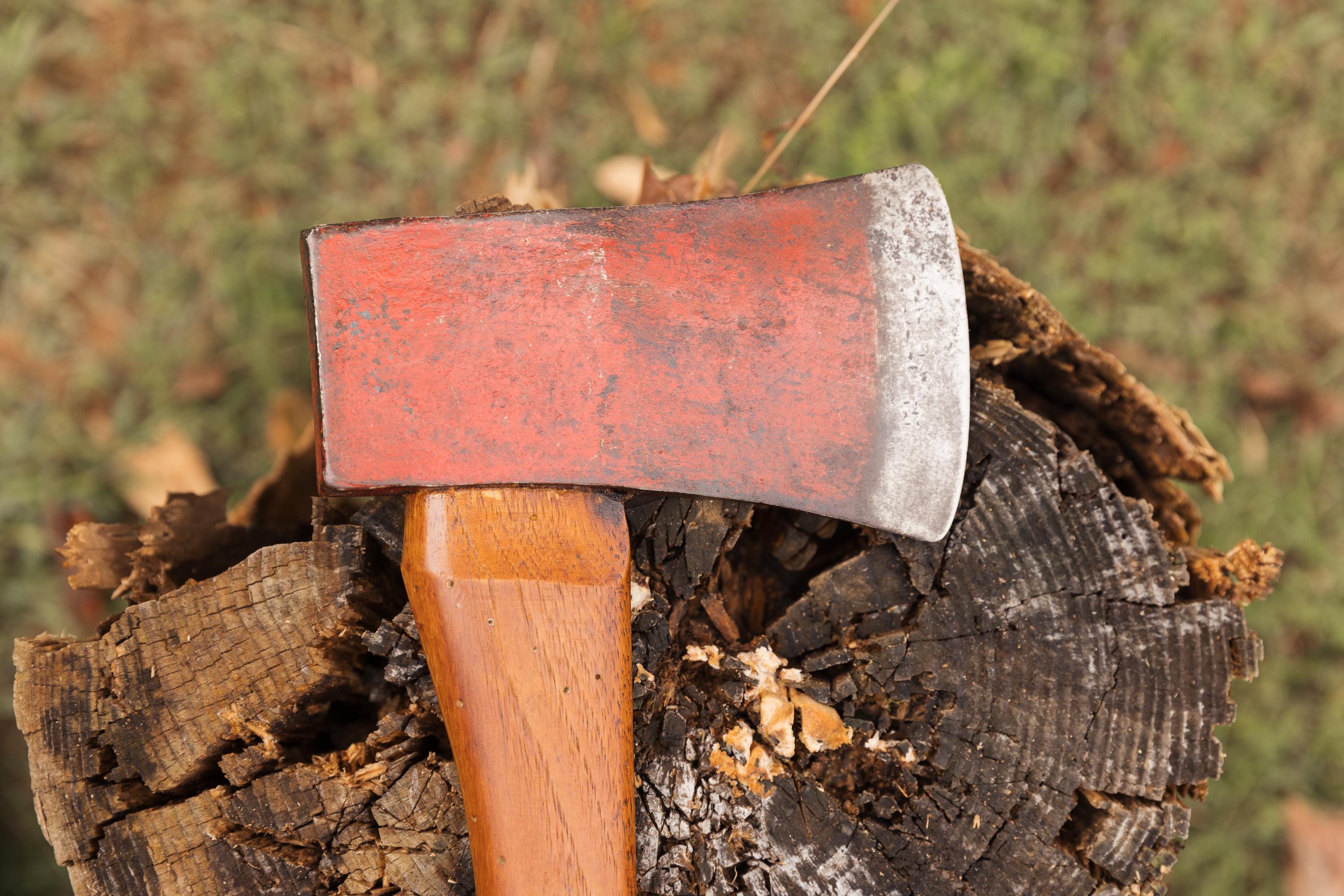 Restored Vintage True Temper Wood Slasher Boys Axe on Original Handle ...