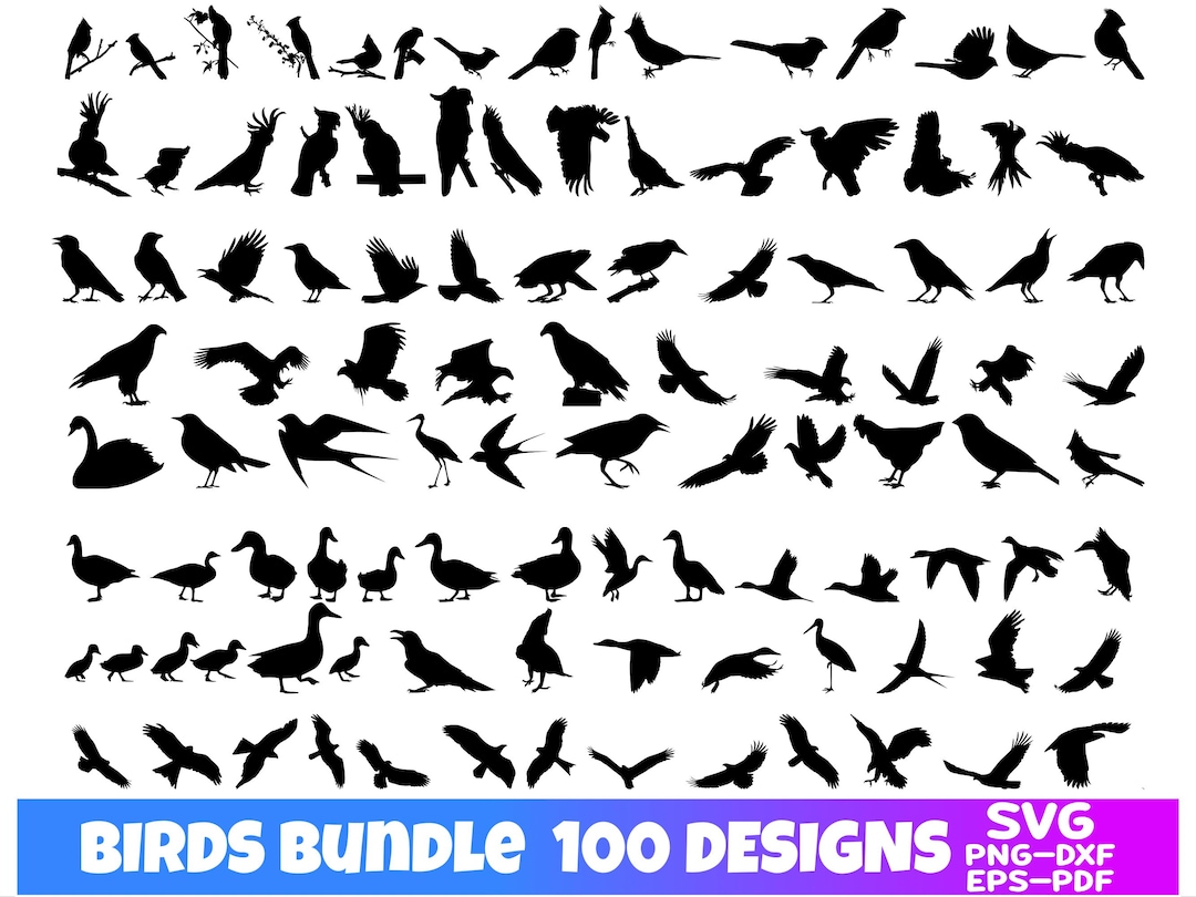 100 Bird SVG, Bird Svg Bundle, Flying Bird Svg, Animal Svg, Bird Clip ...