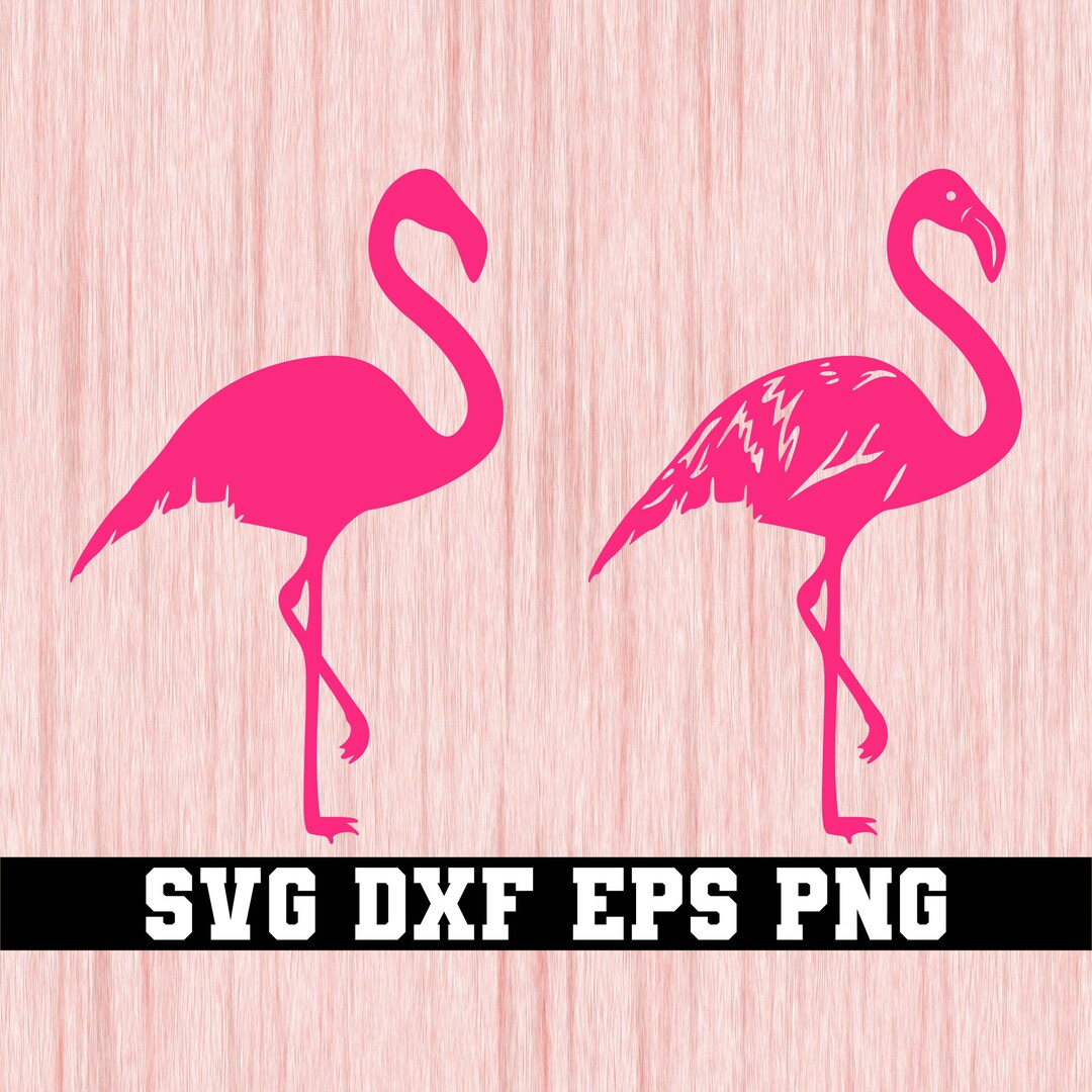 Flamingo Svg Flamingo Clipart Flamingo Birthday Svg - Etsy