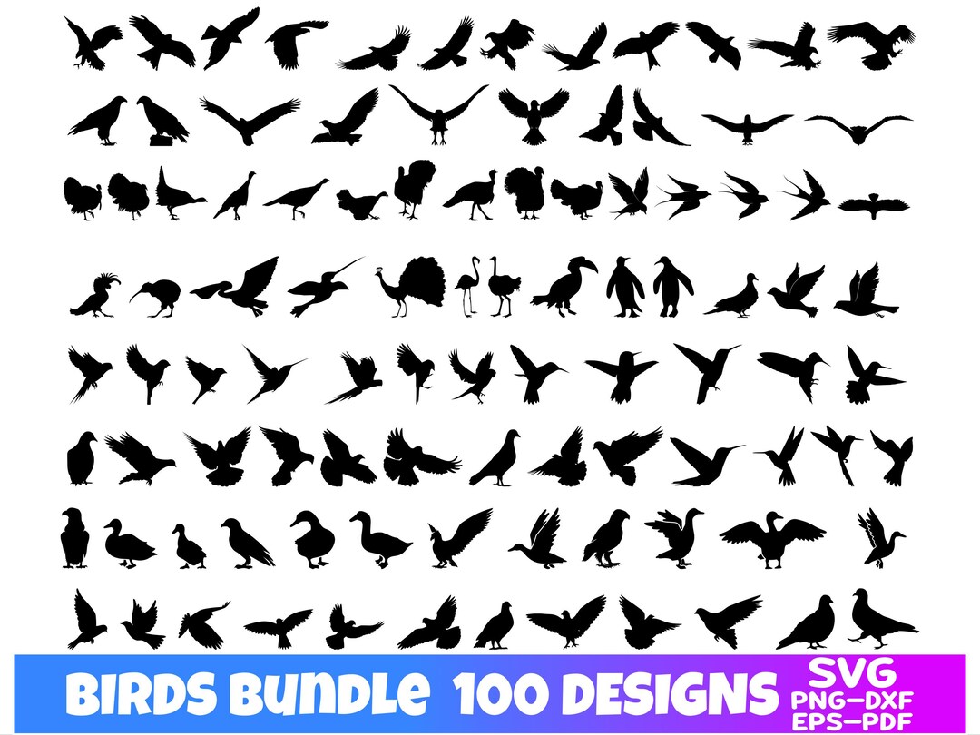 Bird SVG, Bird Svg Bundle, Flying Bird Svg, Animal Svg, Bird Clip Art ...