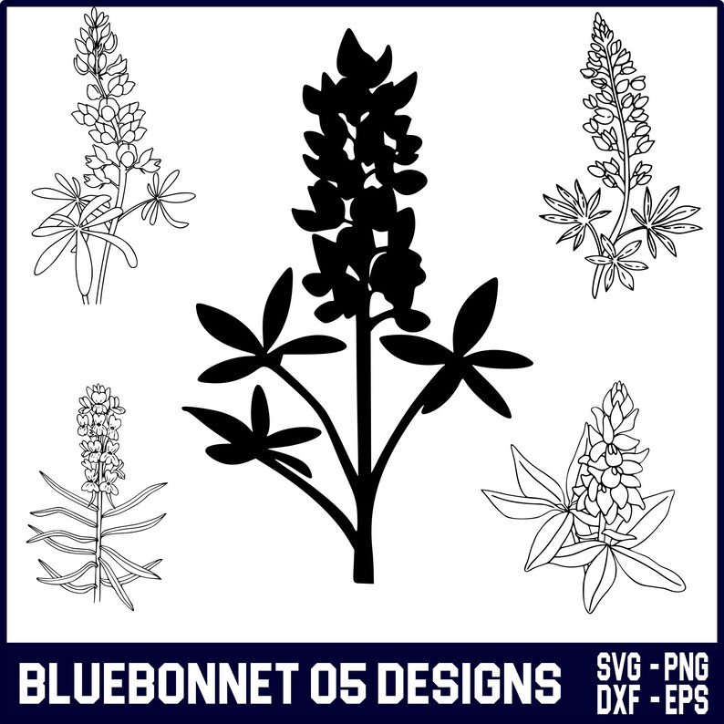 Bluebonnet Svg Clipart for Cricut Lupine Vector Black and White ...