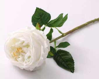 White Cabbage Roses - Etsy