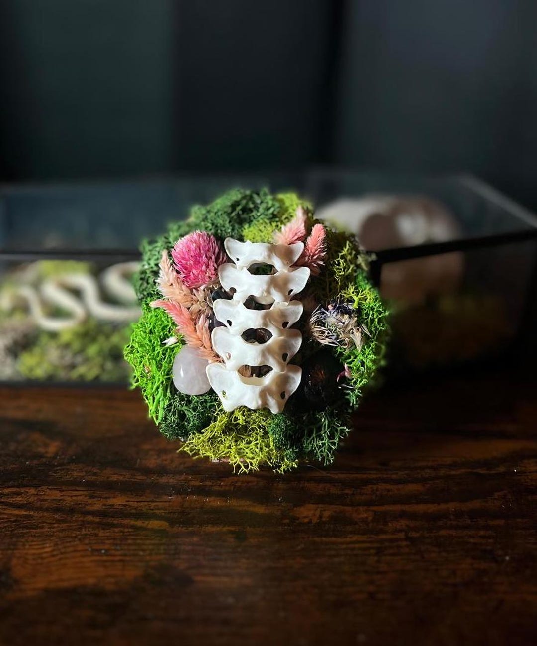 Fox Spine Vertebrae Art Piece With Moss, Crystals & Flowers Curiosity ...