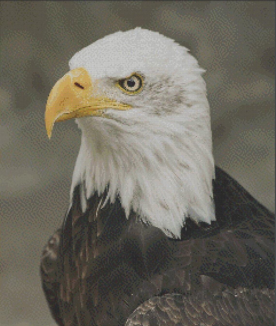 Bald Eagle, Counted Cross Stitch Pattern. Instant PDF Download - Etsy