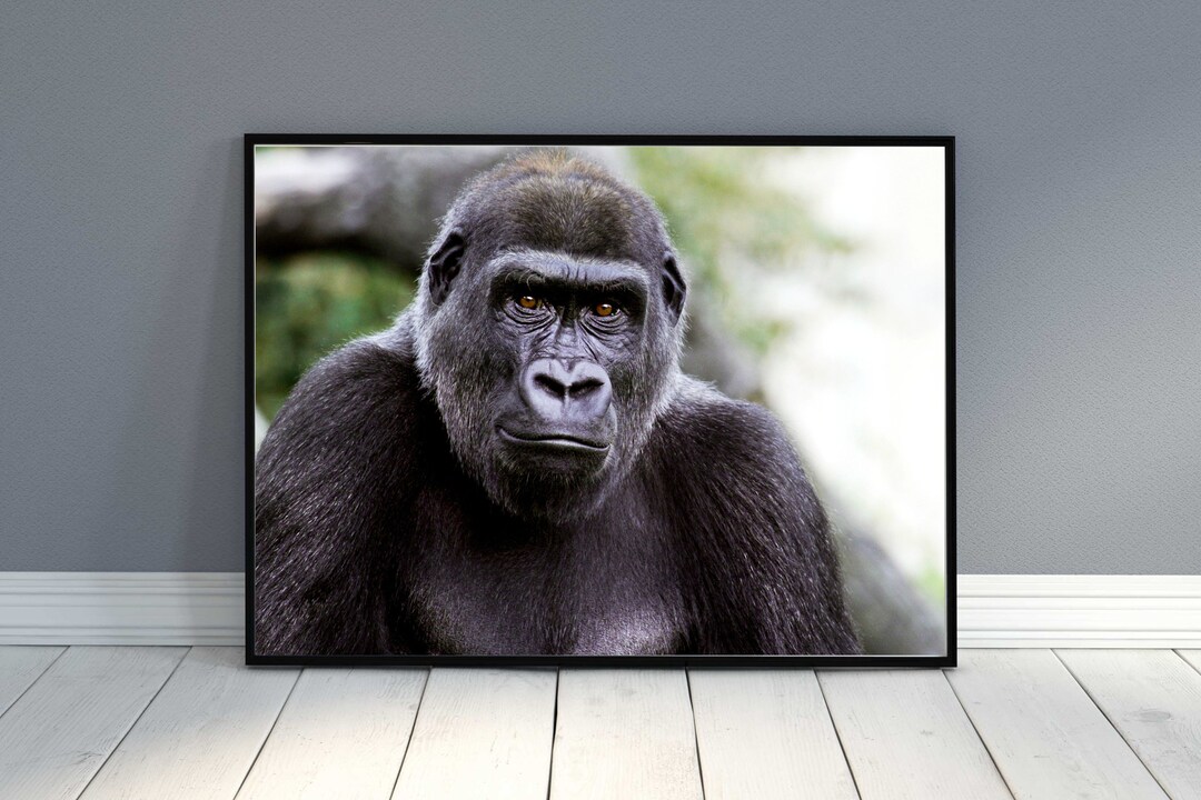 Lowland Gorilla, Custom Cross Stitch Pattern, Embroidery Pattern ...