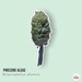 LIVE 10-pack Macro Algae Sampler Macro Algae/macroalgae Coral for ...