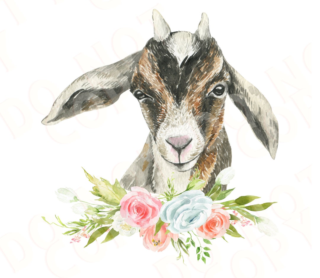 Sublimation Print - Spring Goat - Etsy
