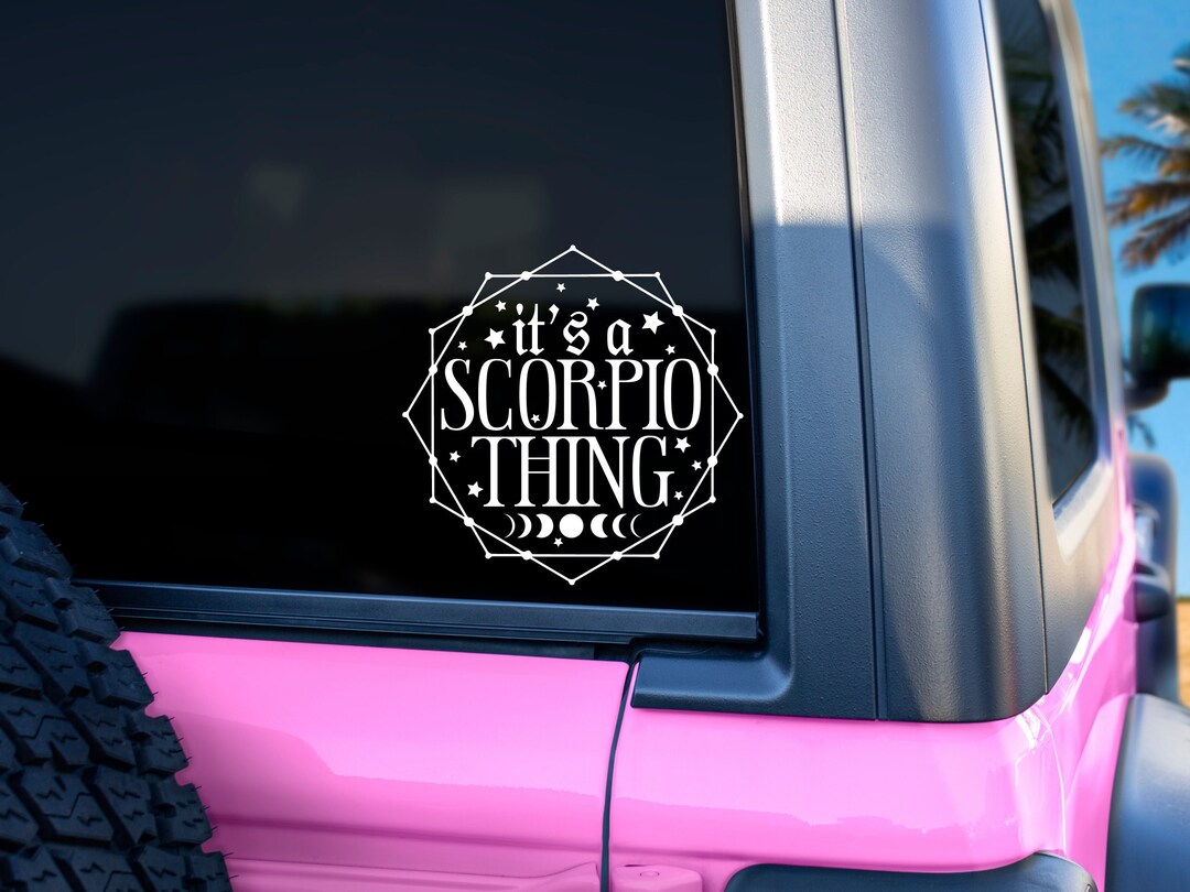 It's a Zodiac Thing Decal / Zodiac Signs / Car Decal / Leo / Aquarius ...