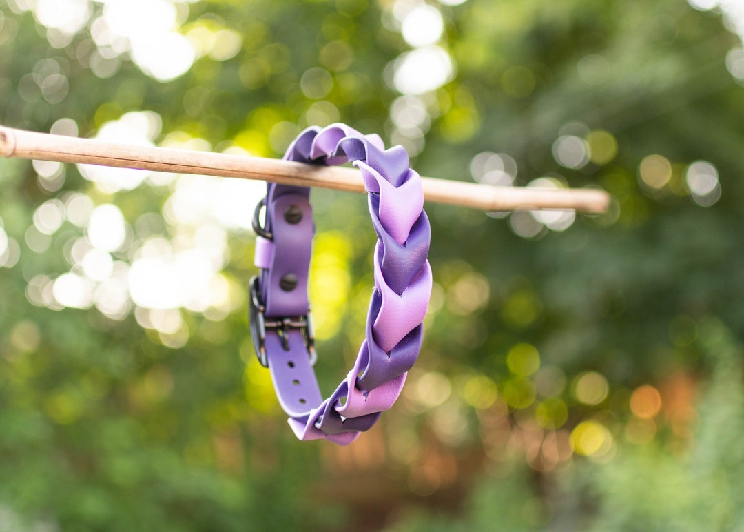 1 Custom Braided Biothane® Collar Water-proof Durable - Etsy