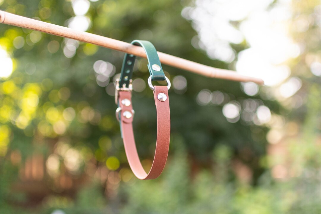 Custom 5/8 Adjustable Biothane® Tag Collar Water Proof - Etsy