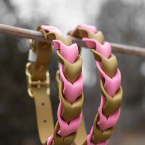 1 Custom Braided Biothane® Collar Water-proof Durable - Etsy
